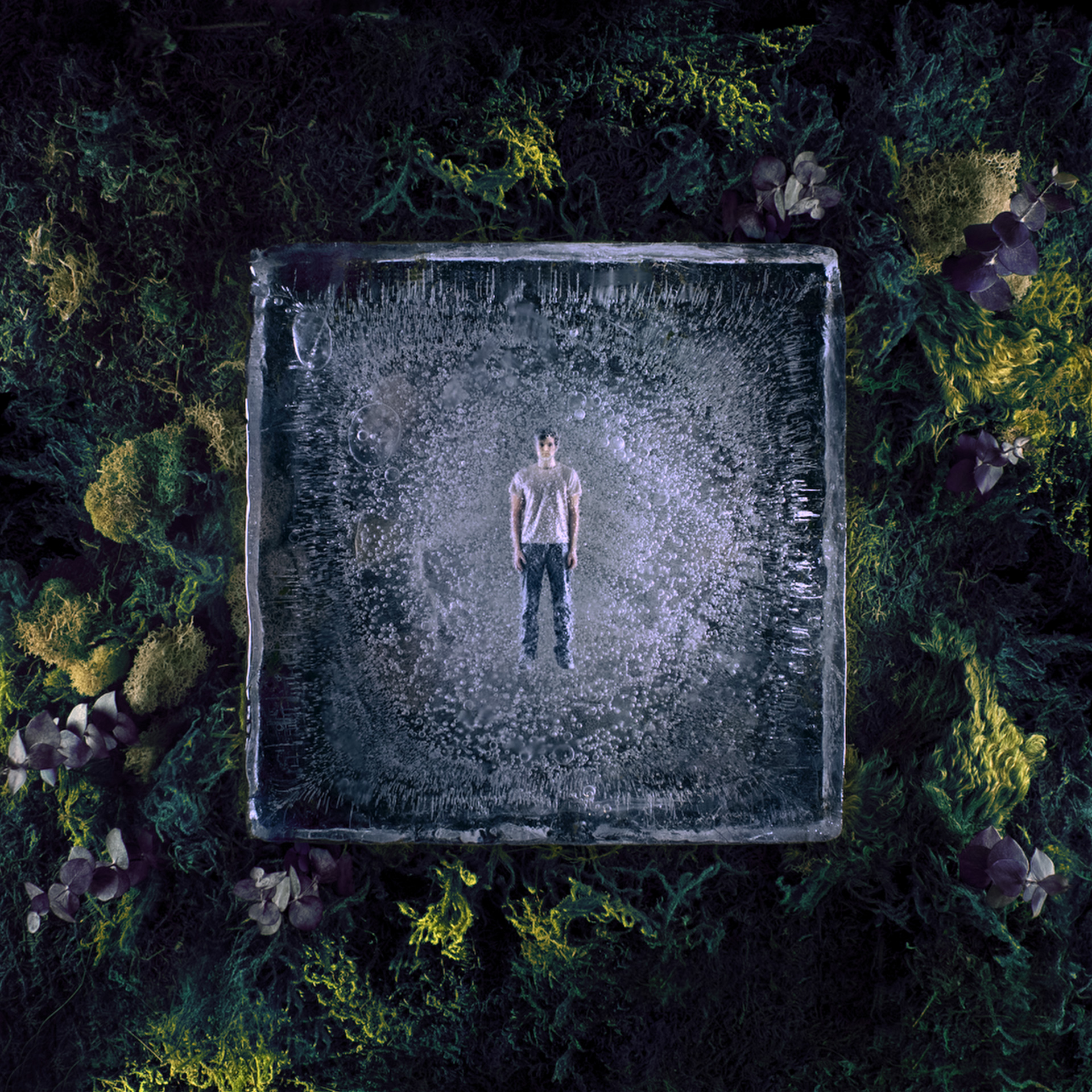 Listen: Isador – ‘Jungle’ – POParazzi – Music, TV, and Movie Reviews